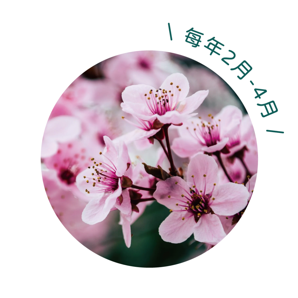 深森．旅｜官方網站